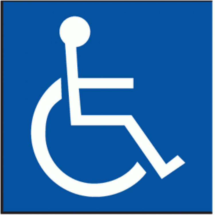 Handicap 6" x 6" Decal Pack of 10